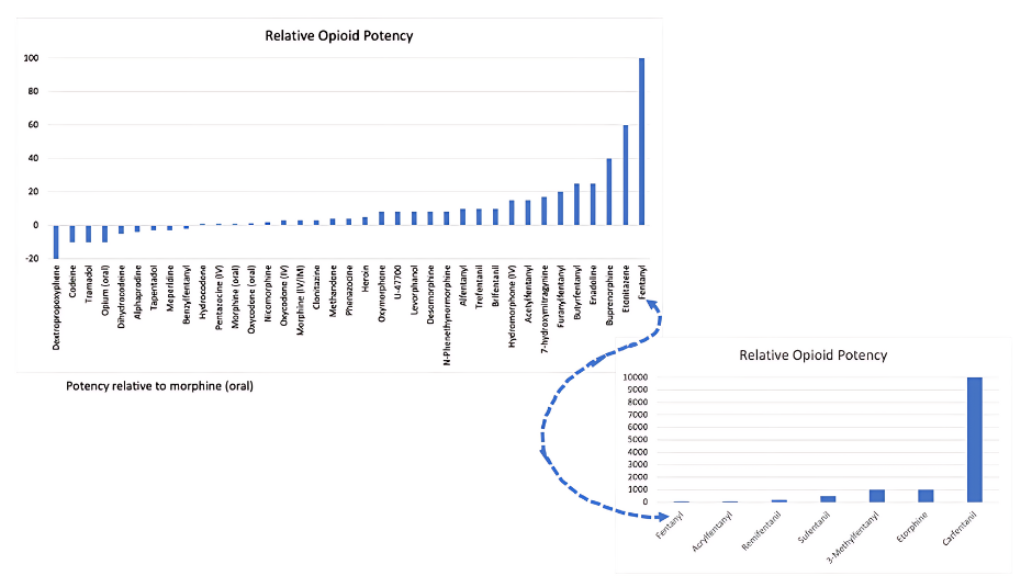 Fentanyl and fentanyl analogs: Prevalence and challenges - NDASA